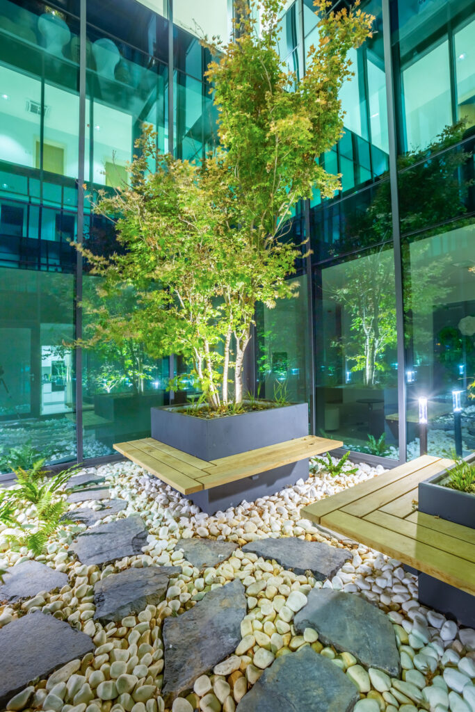 About us — Milsing — From Family Business to Healthcare Leader